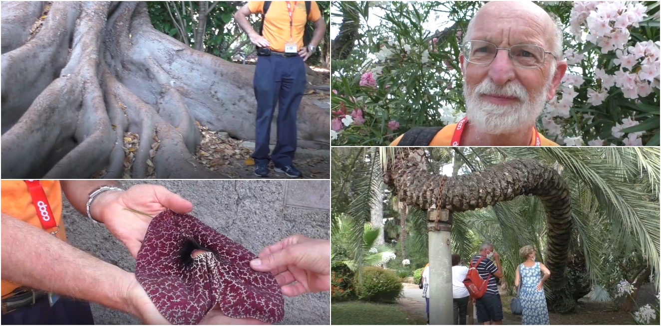 Parchi di Sanremo: alla scoperta delle piante più "strane"