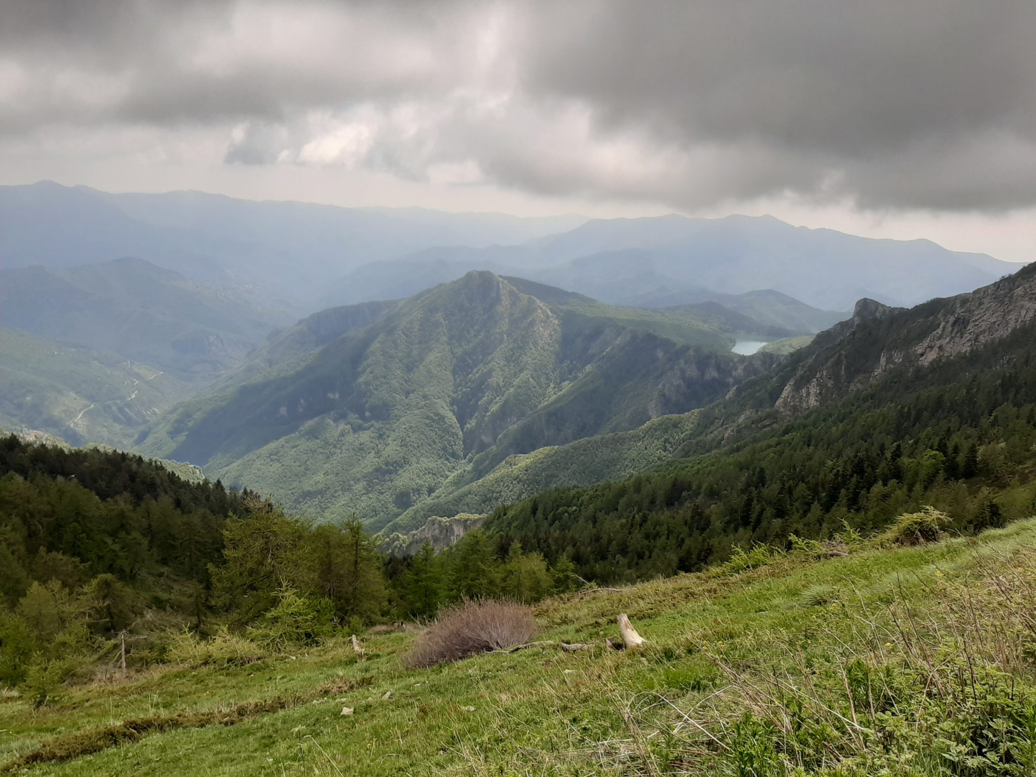 Escursioni fra natura e storia: le iniziative del Parco delle Alpi ...