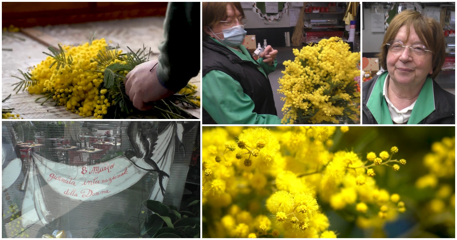 Che festa della donna sarebbe senza mimosa? Un fiore che supera tempo e ...