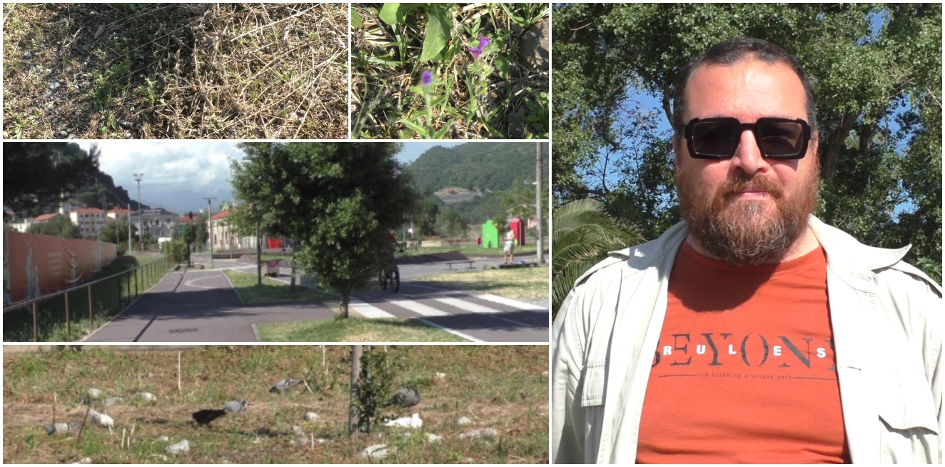 Ventimiglia, polemiche tra Comune e associazione Natura Intemelia per ...